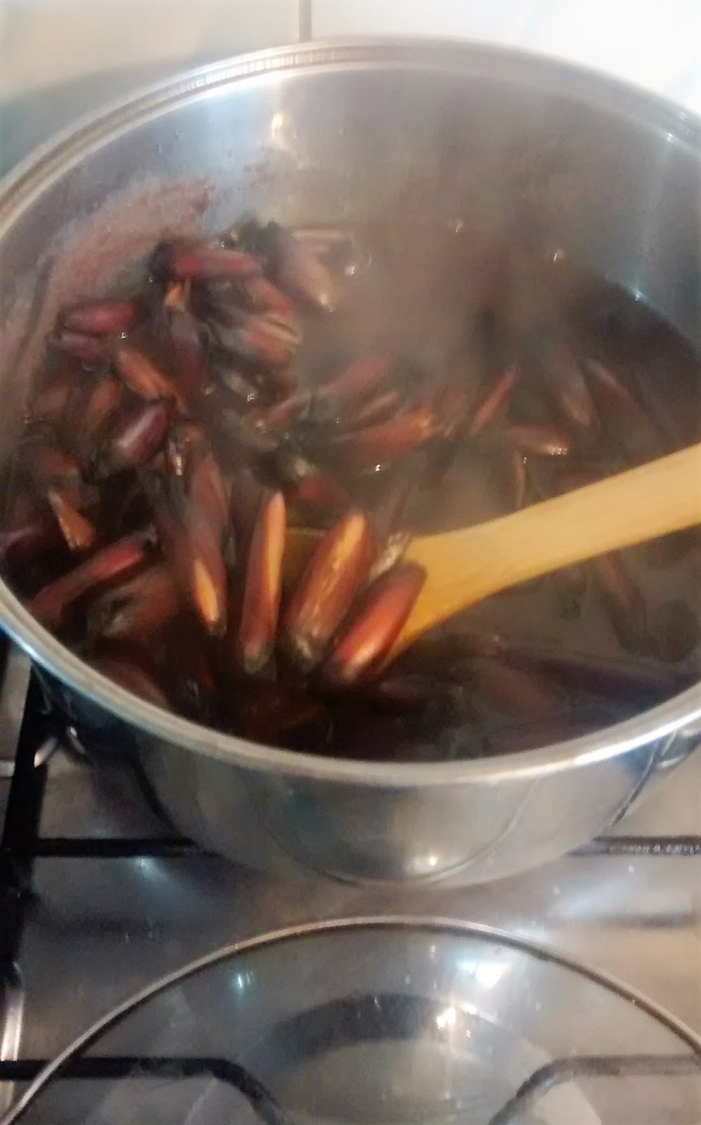 "Parque de Araucarias Araucanas" - Chile: Como cocer piñones de ...