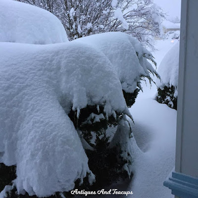 Antiques And Teacups: February 2019