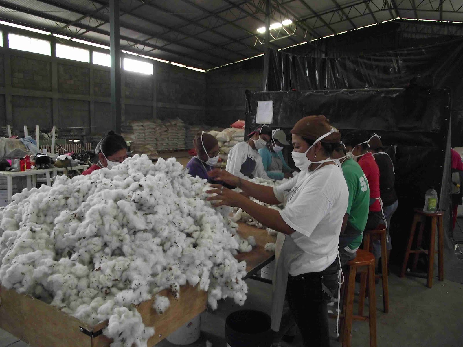 Center for Development in Central America: Genesis at 5 Years