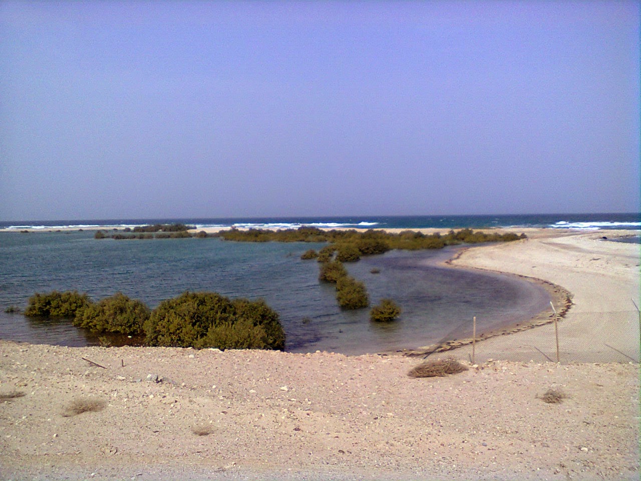 I fell in love with you, Delma Island UAE.