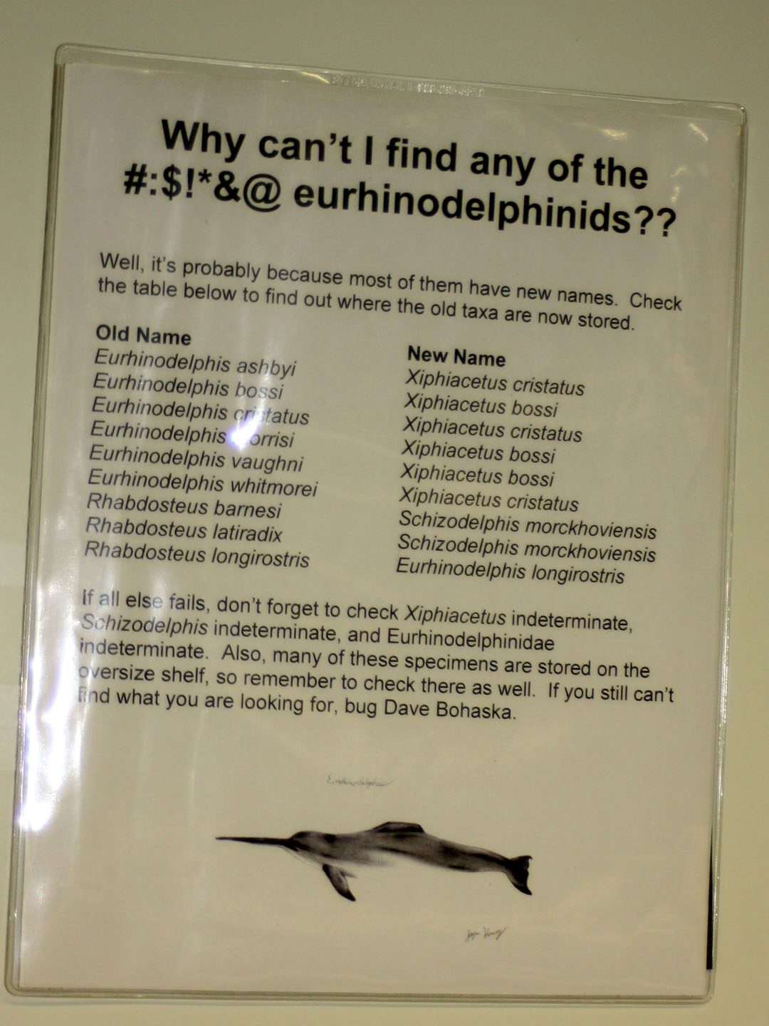 The Coastal Paleontologist: US Research trip part 2 - snapshots from ...