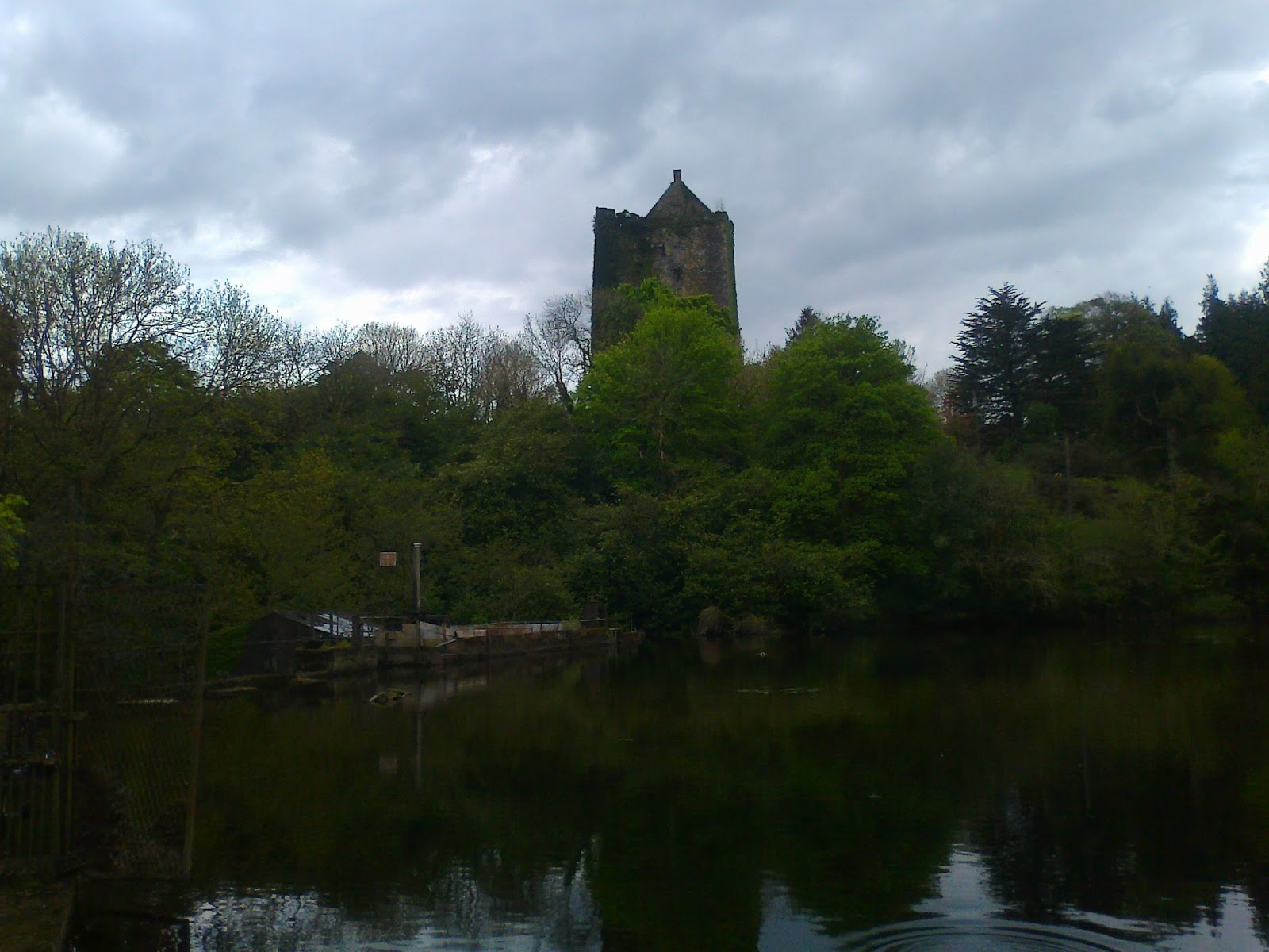Tai Chi Cork: Dripsey