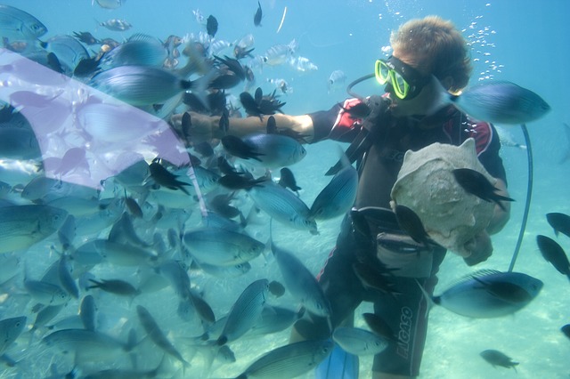 Barbados Attractions and Activities