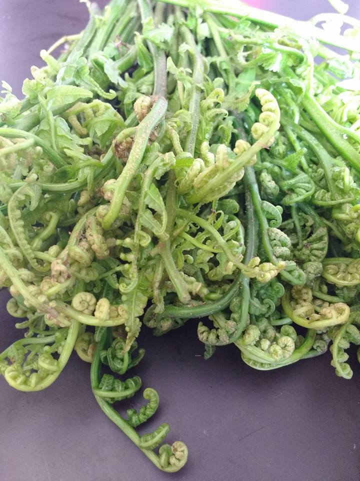 Boror Tenga with Dhekia Saag