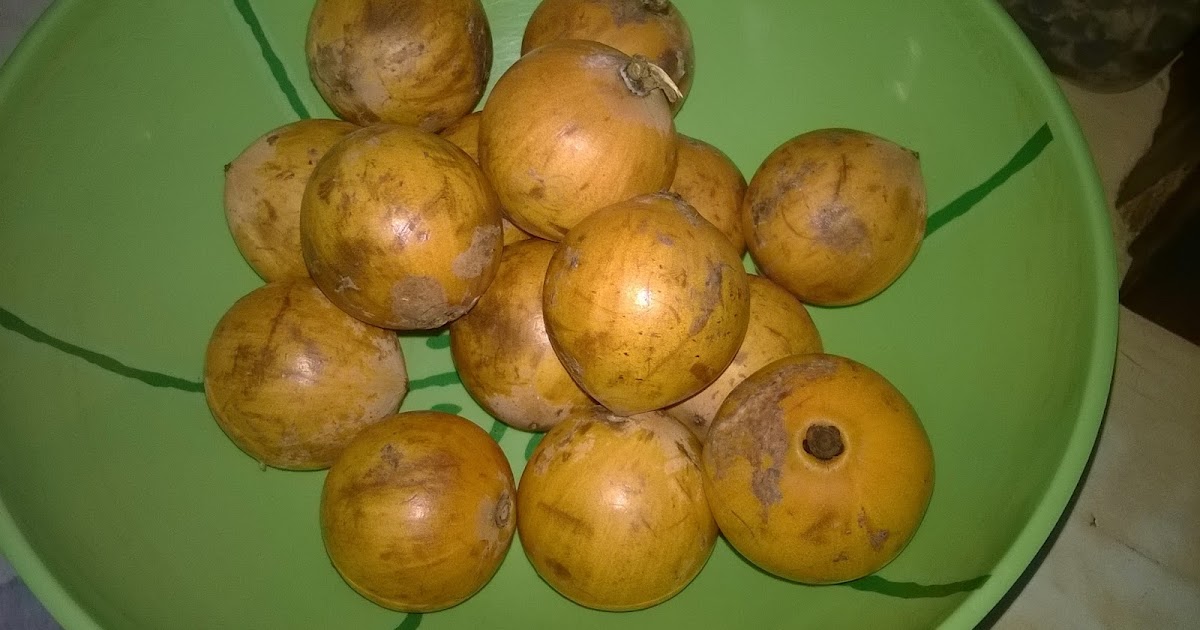 Anya's World: Agbalumo Drink - Version 1