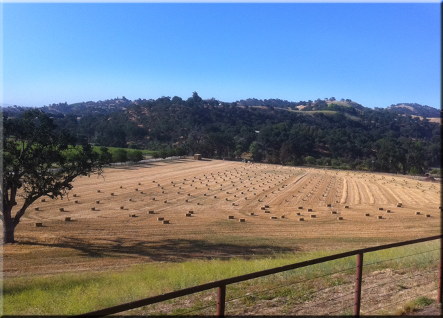 Harrah Ranch: The Ranch