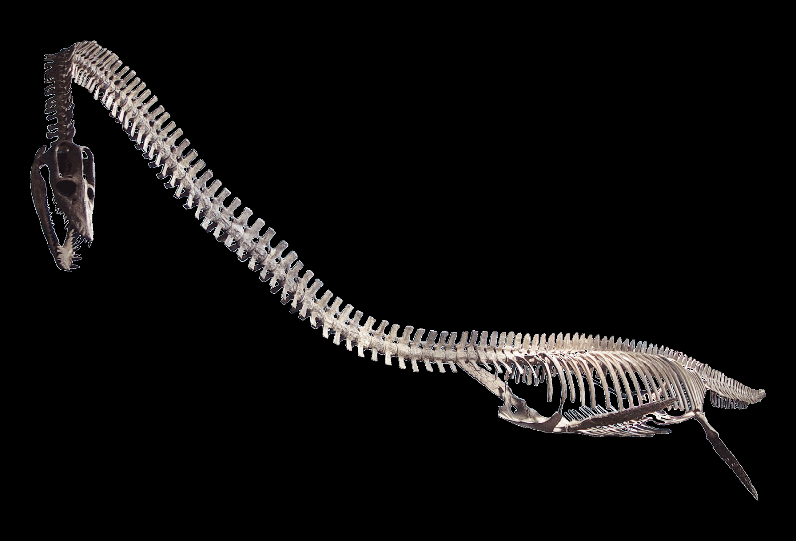 The Expeditioner's Discovery Guild: A little bit of Everything: 2016