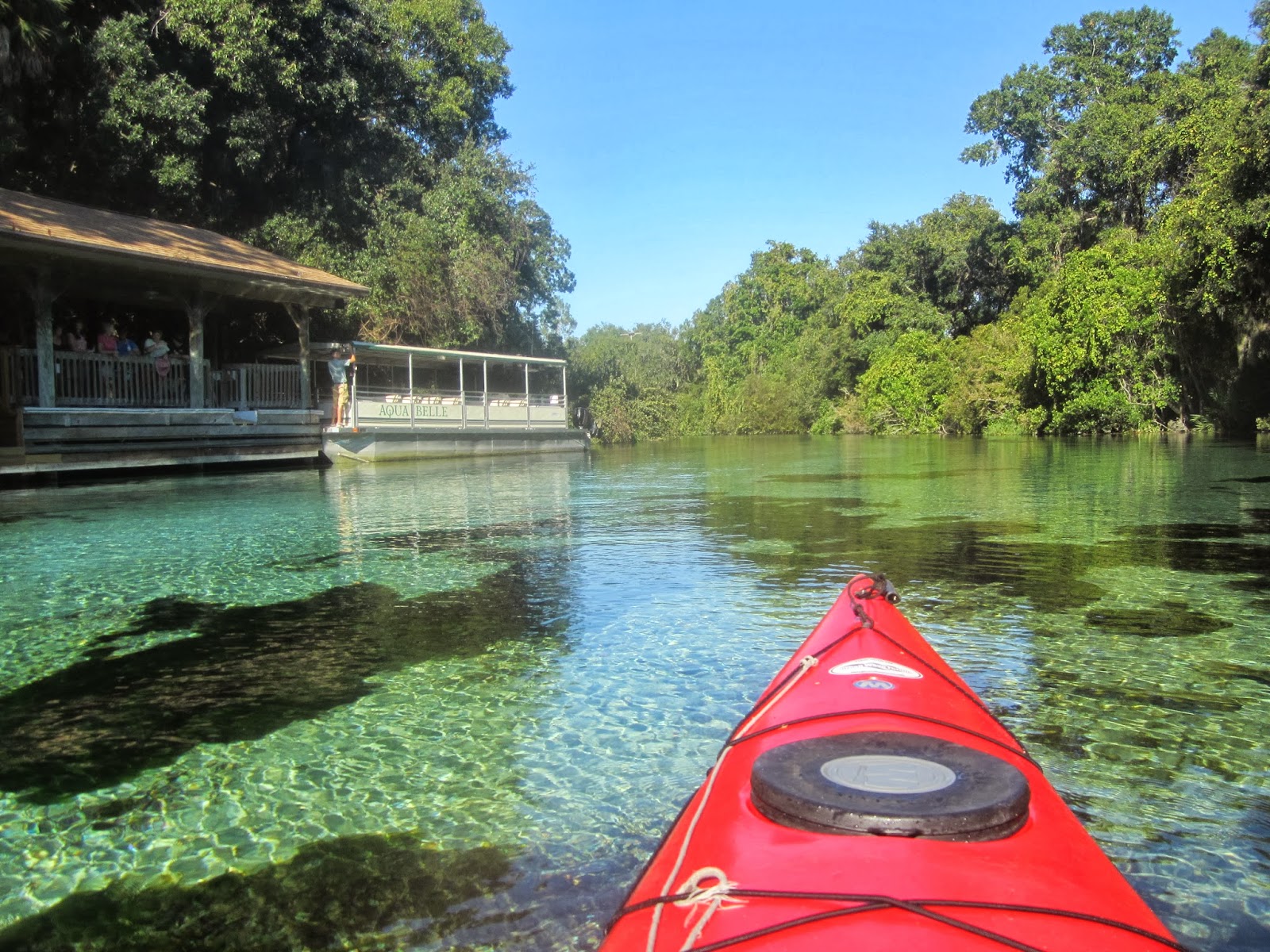 Dave's Yak Tales: Weeki Wachee, Mud River, and Salt Spring
