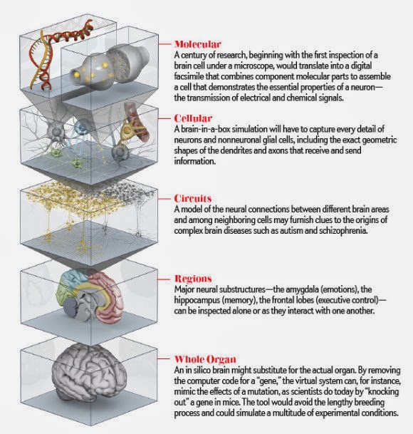 METRONOME: the Human Brain Project has kicked-off
