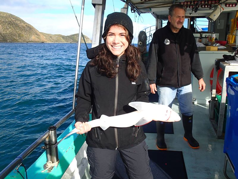 Prehistoric Beast of the Week: Interview with Marine Biologist: Melissa ...