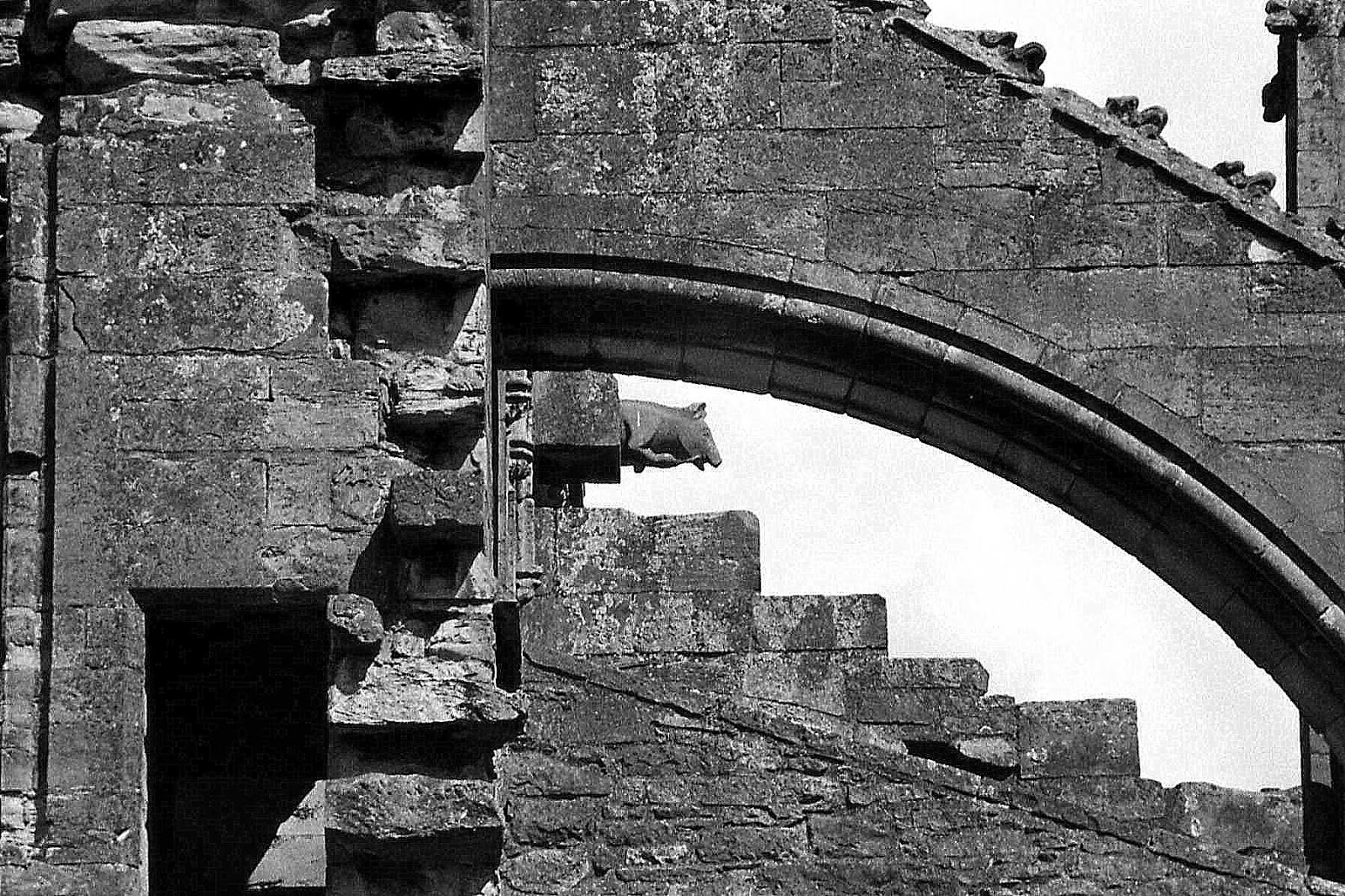 The Mathematical Tourist: Gargoyle Pig