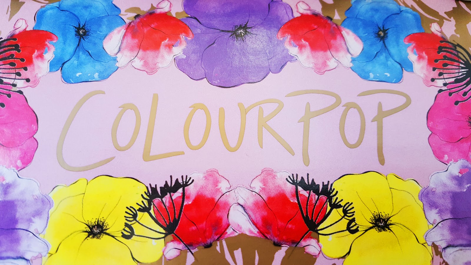 Compass Lane Chic: Colourpop Haul