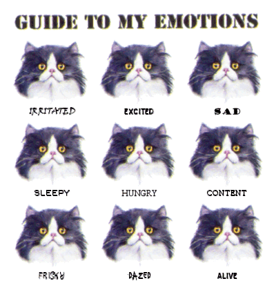 Flora's Life: A guide to my emotions
