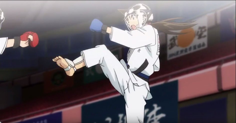 Detective Conan Ran Karate Episodes