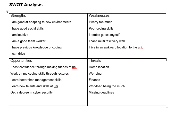 A SWOT Analysis