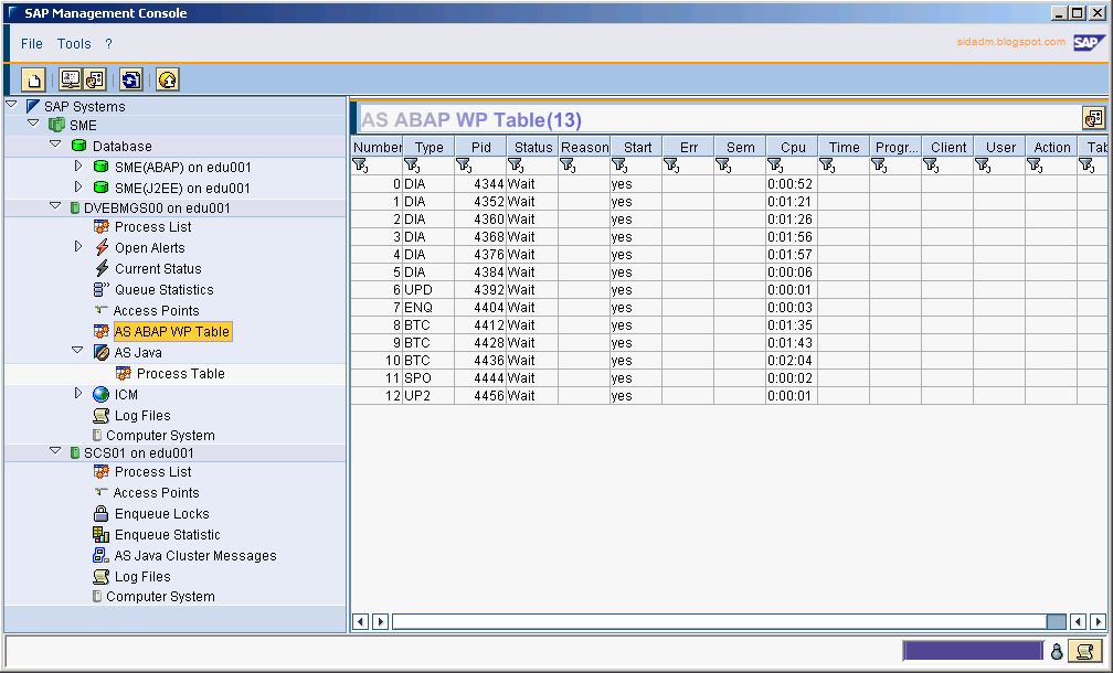 sidadm: SAP Management Console