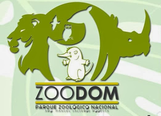 Zoológico Nacional envia veterinarios a rescatar Solenodonte en Puerto ...