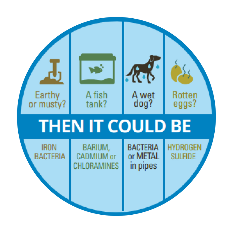 LindySpring Systems: What Does Your Water Symptom Mean?