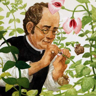 BioVida: Biografia de Mendel ( O pai da genética )