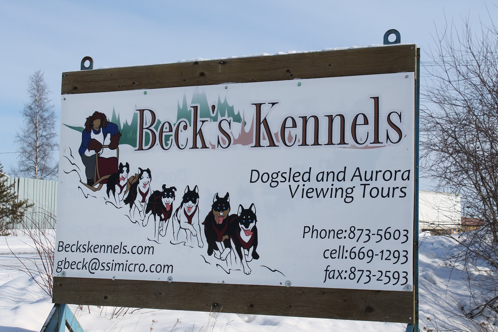 by SHANNON LEE: The Girls Go Dog Sledding