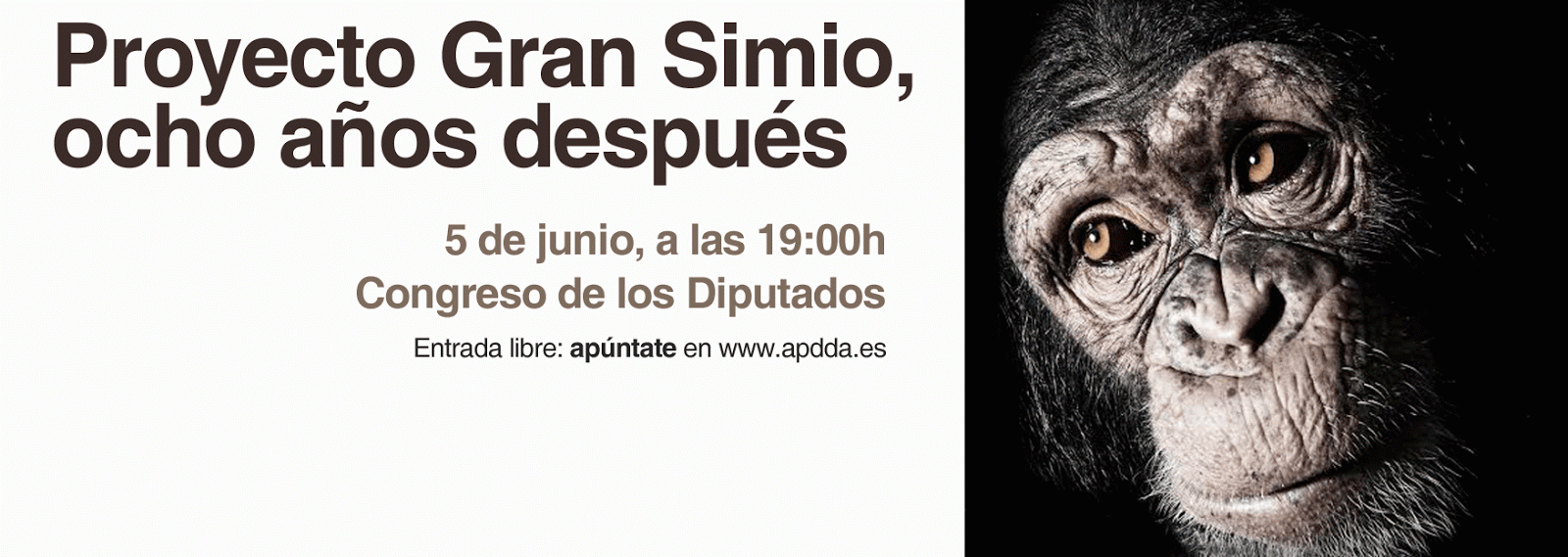 DEFENSOR DE LA IGUALDAD: "PROYECTO GRAN SIMIO, OCHO AÑOS DESPUÉS"