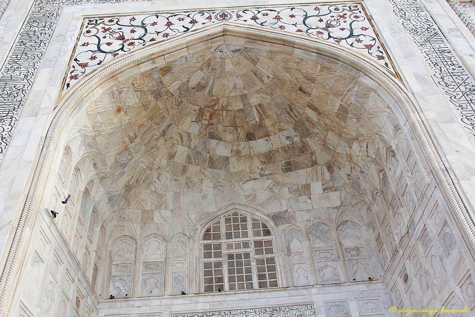 ballad of a lonesome hobo: Doors & Windows