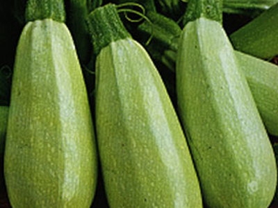 Koussa Mehche Recipe | LEBANESE RECIPES