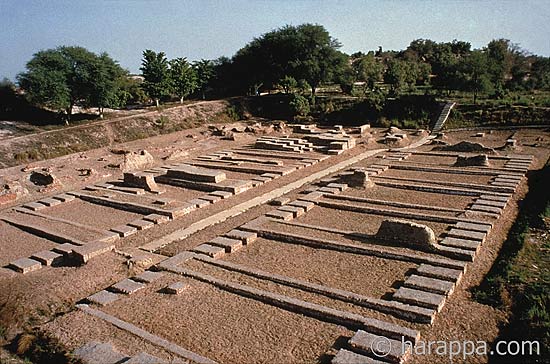 Harappa City Plan
