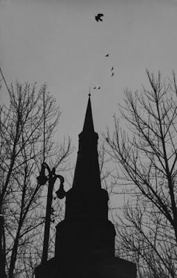 Los Grandes Fotografos: Boris Davidov (1942)