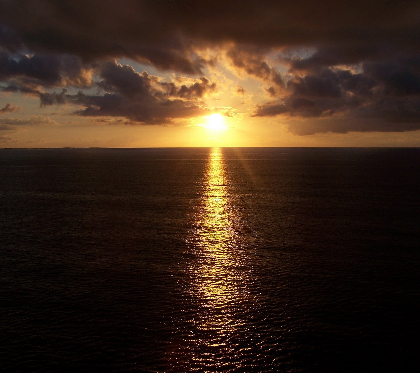 "No puedes vivir sin Esperanza": "NO PUEDES VIVIR SIN ESPERANZA"