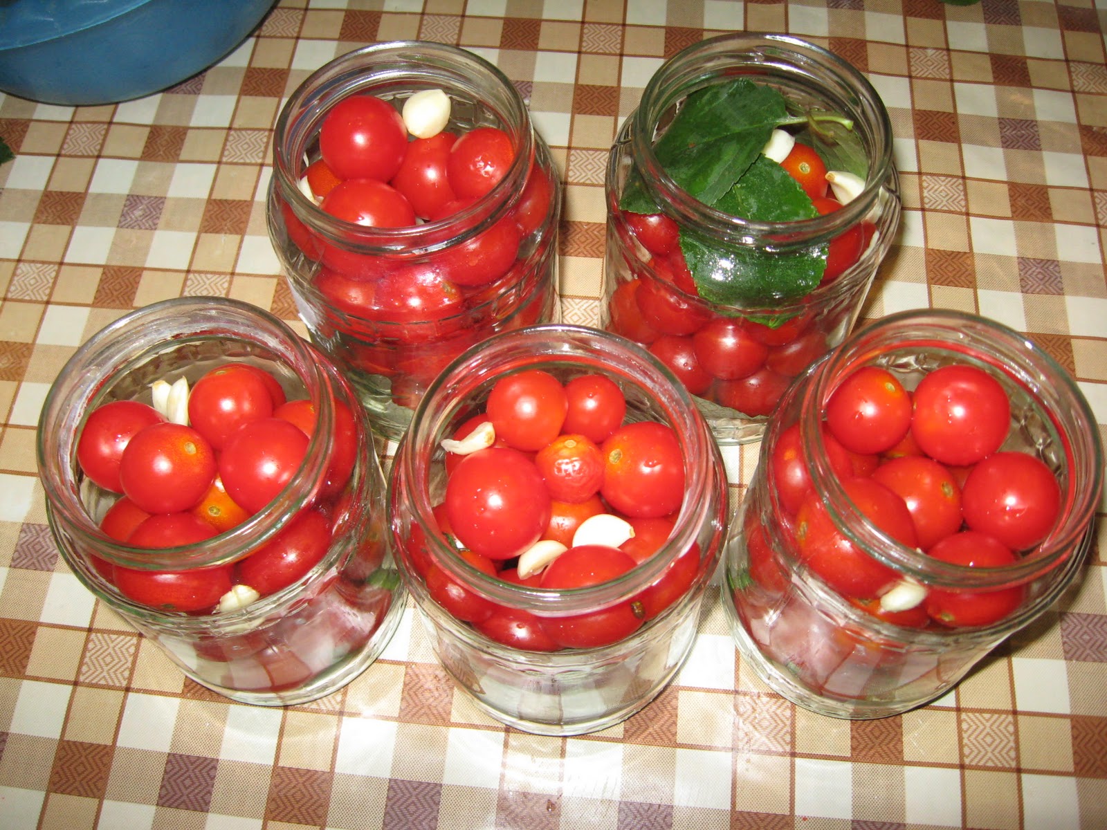 VULPEA COFETAR: ROSII MURATE