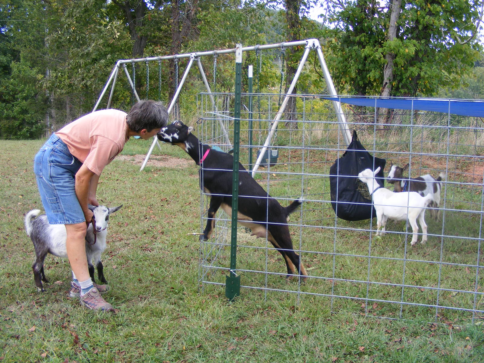 Intermittent Farm Report: Goat Husbandry Class in the hills of West ...