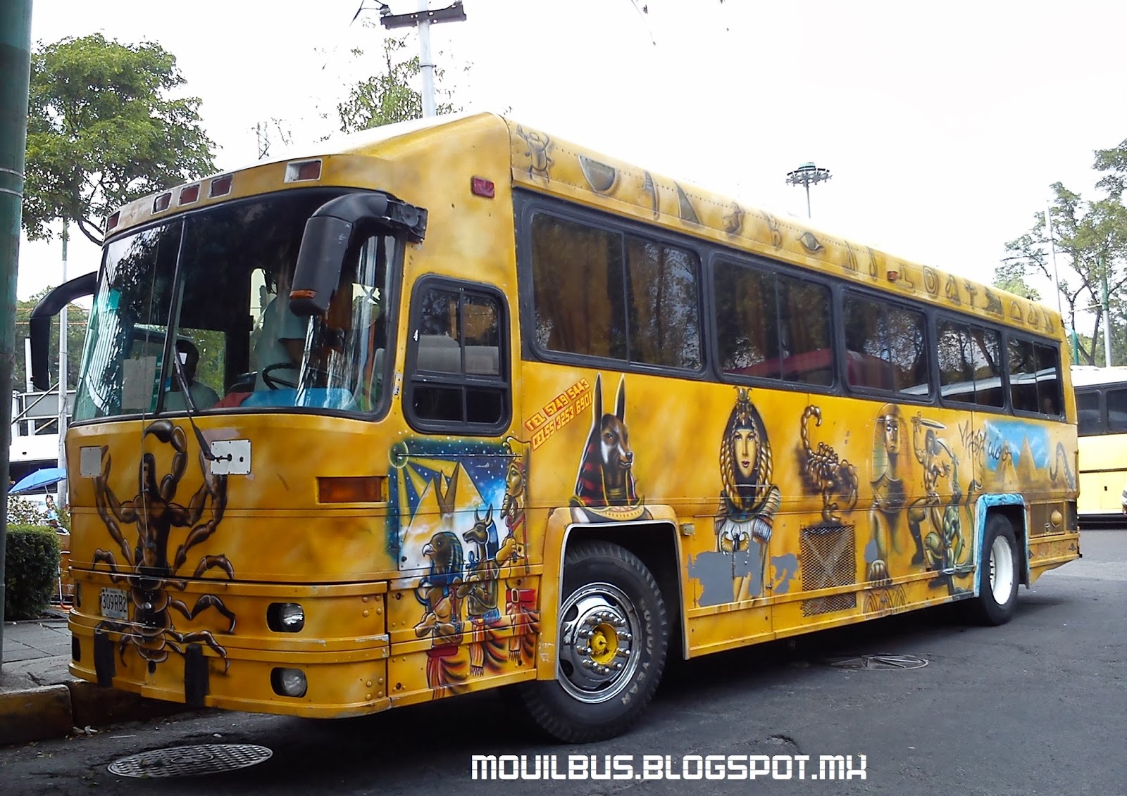 DINA AVANTE TURISMO.