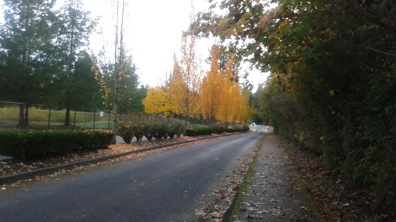 Barers of Maple Valley: Another Fall Day In Maple Valley