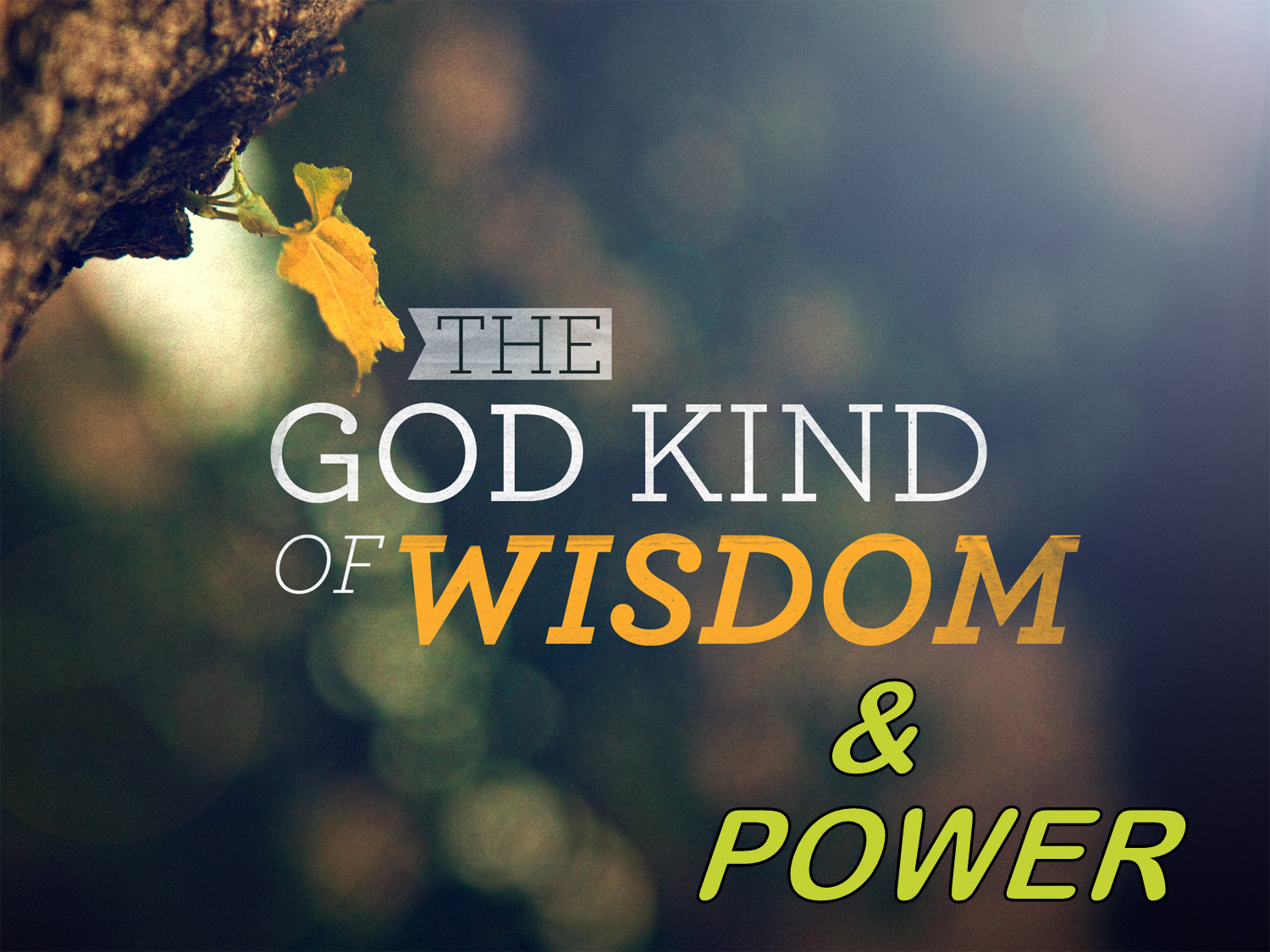 WHAT IS THE WISDOM AND THE POWER OF GOD? ~ ChristosExpress