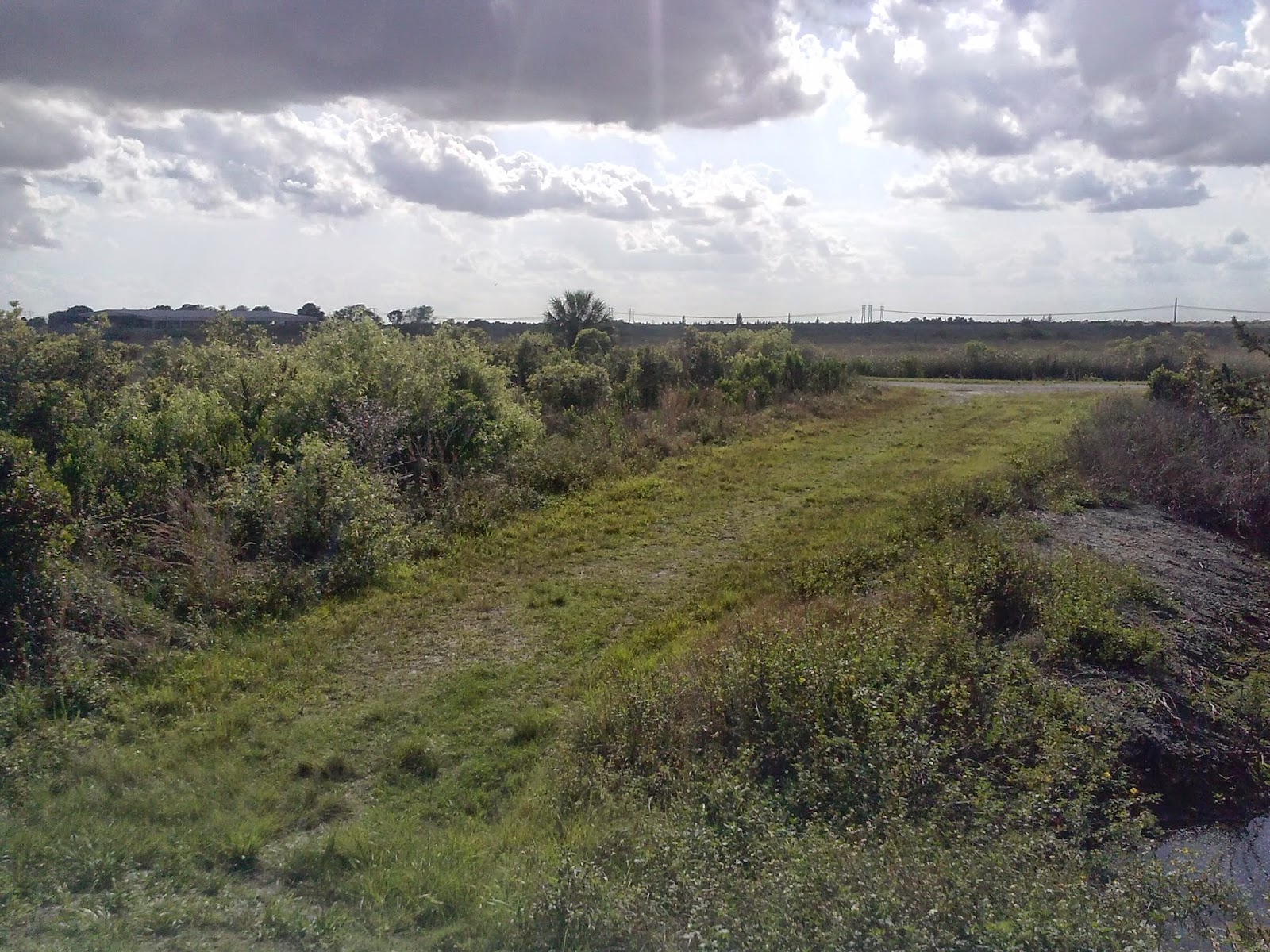 David Rutner's Portfolio Project