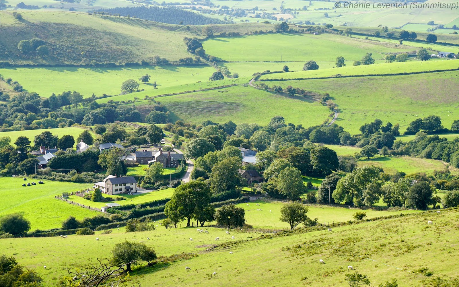 Summitsup: Pole Bank and Medlicott