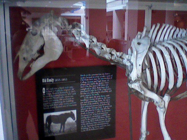 A Woman Named Sophie: Men of the Skull Chapter 4: Nickel Tour