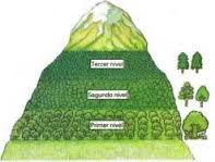 Las regiones naturales de nuestro país.: ¿Qué son las regiones naturales?