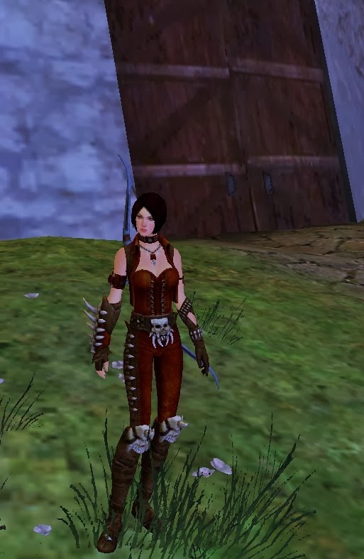 The Casual MMO Gamer: Guild Wars 2 - Ranger Pets