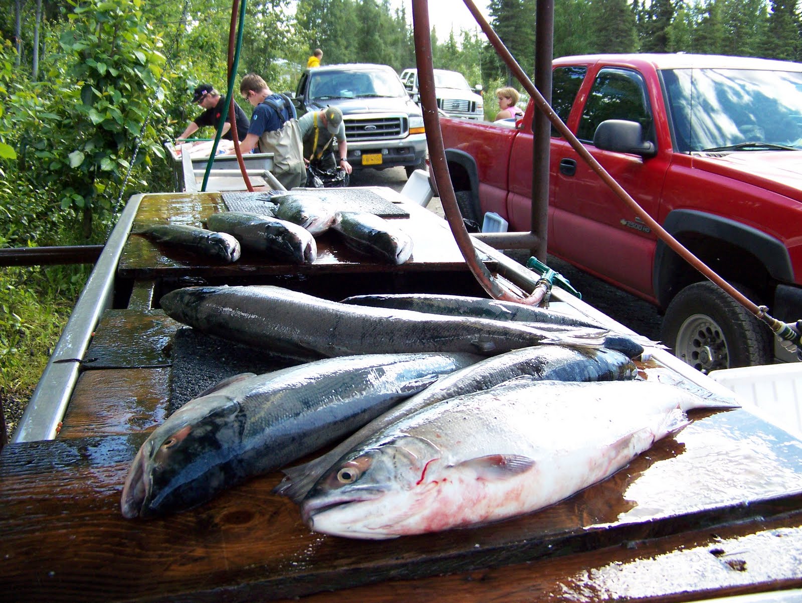 The Kenai Alaska Vacation Blog