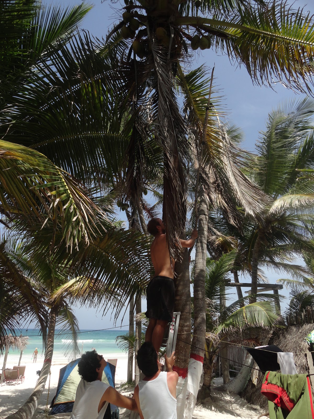 Libertad, San Jose, Uruguay LLegue!!!!!: Cancun y Playa del Carmen (Mar Caribe)