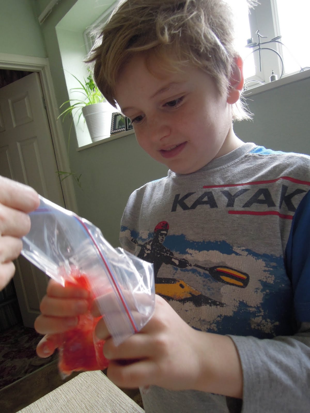 Life's Adventures: Teaching DNA and fun experiments