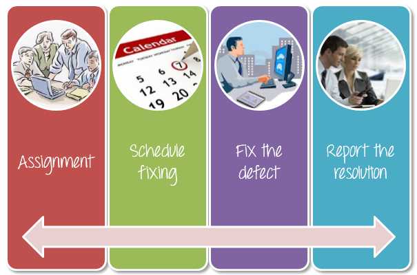 SOFTWARE TESTING AND DEVELOPMENT: DEFECT MANAGEMENT