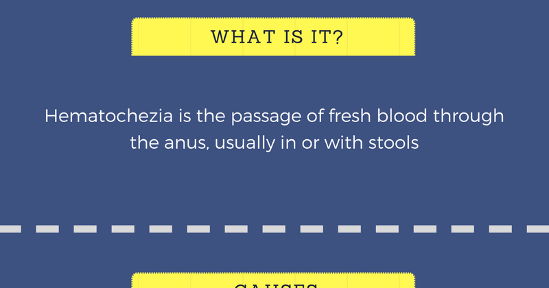 FindaTopDoc Blog: What Is Hematochezia : Symptoms and Causes