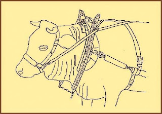 storybrookeripples: ox and dog blog: Adjustable Three-Pad Collar for Oxen