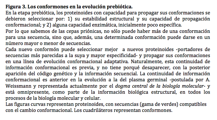 Estructura e información biológica: ORIGEN DE LA VIDA Y ORIGEN DE LA ...