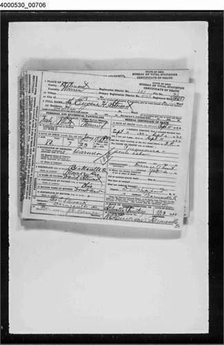 Steward Family Tree: David's Children