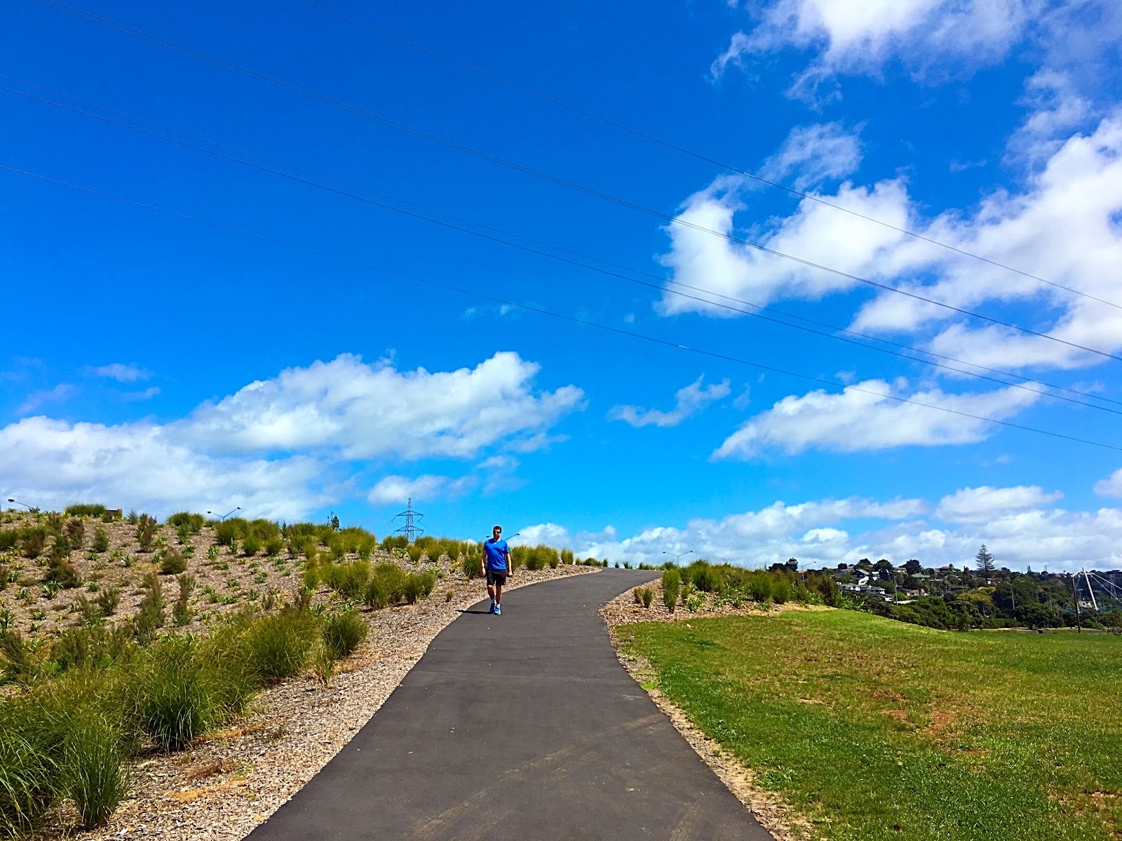 The Disappearing Blogger: THINGS TO DO IN AUCKLAND: ONEHUNGA BAY RESERVE