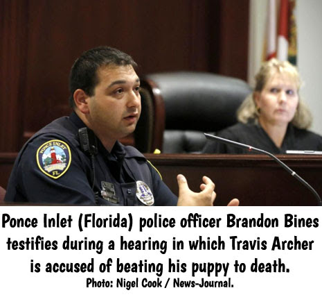 Four legged friends (and enemies): Florida: Judge rules Ponce Inlet ...